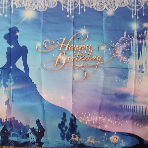 Wall Decor | Princess Themed Happy Birthday Banner Photo Backdrop ...